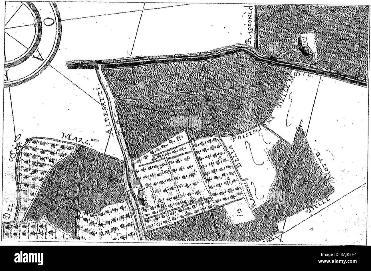 Medieval italian court Cut Out Stock Images & Pictures - Alamy