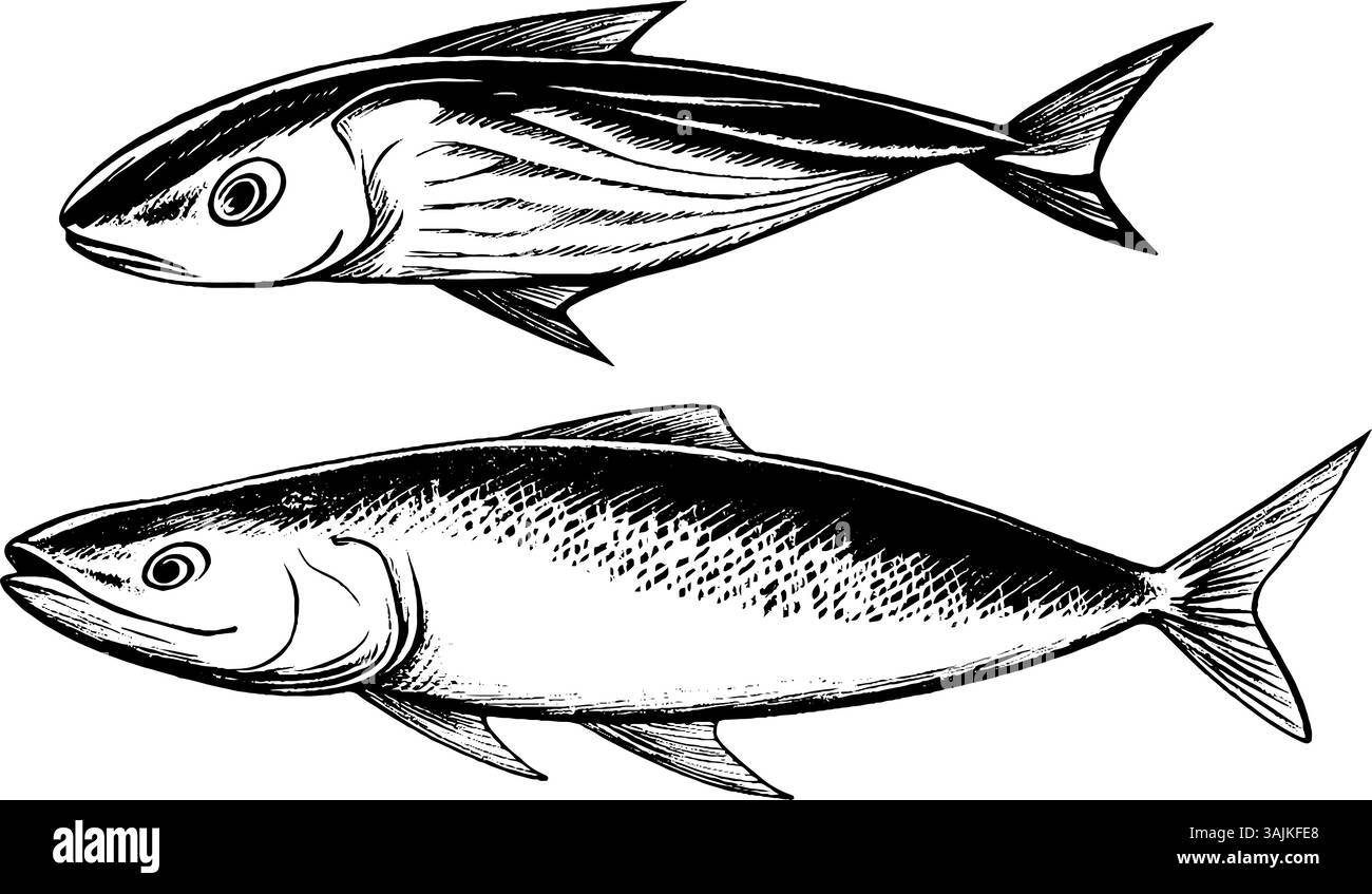Illustration of two types of fish, one with a streamlined body and ...