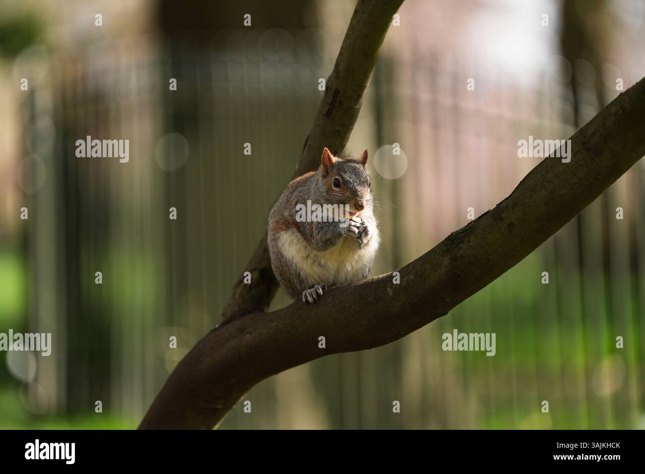 Ecological awareness visual hi-res stock photography and images - Alamy