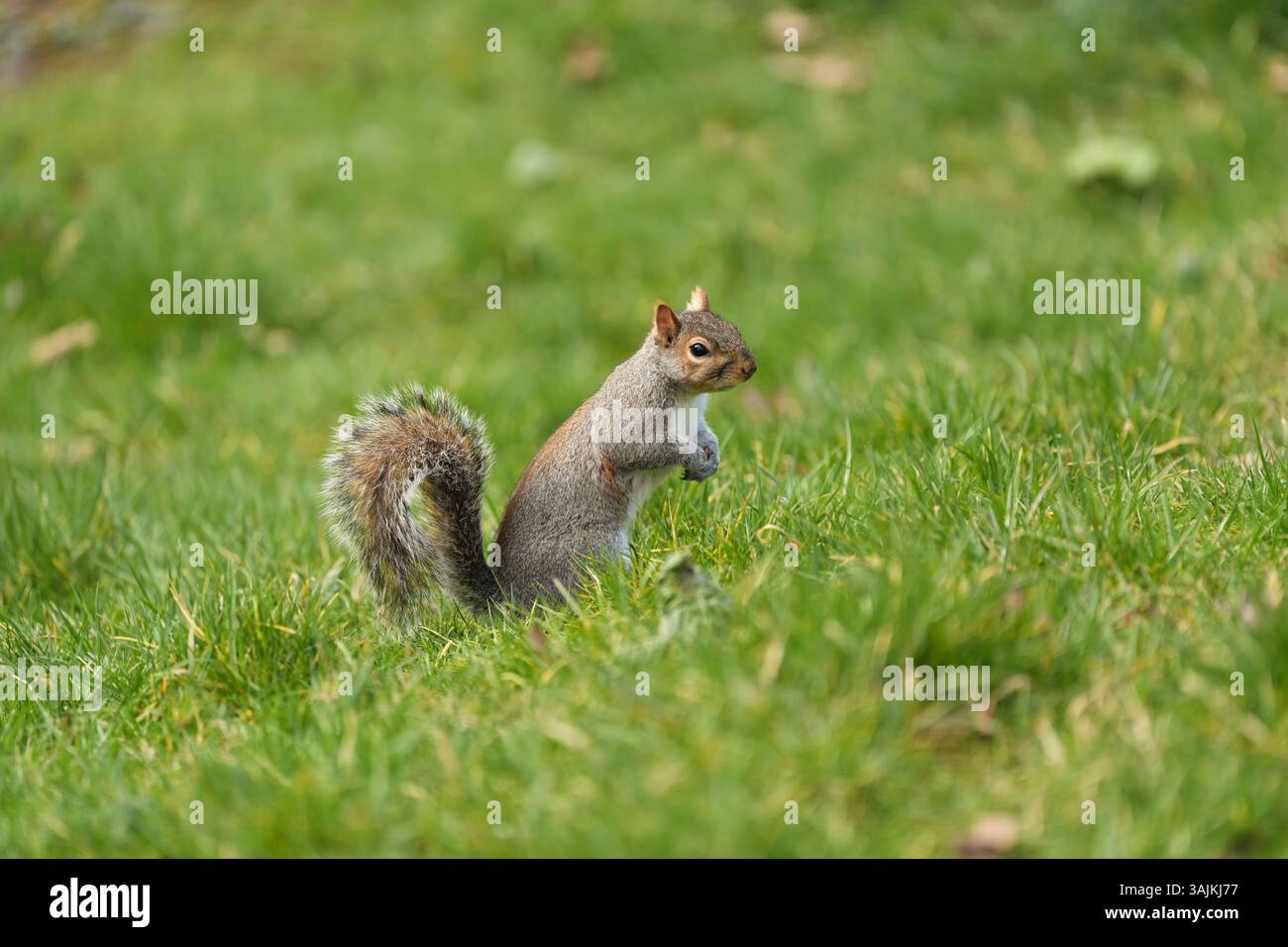 Connection park hi-res stock photography and images - Alamy