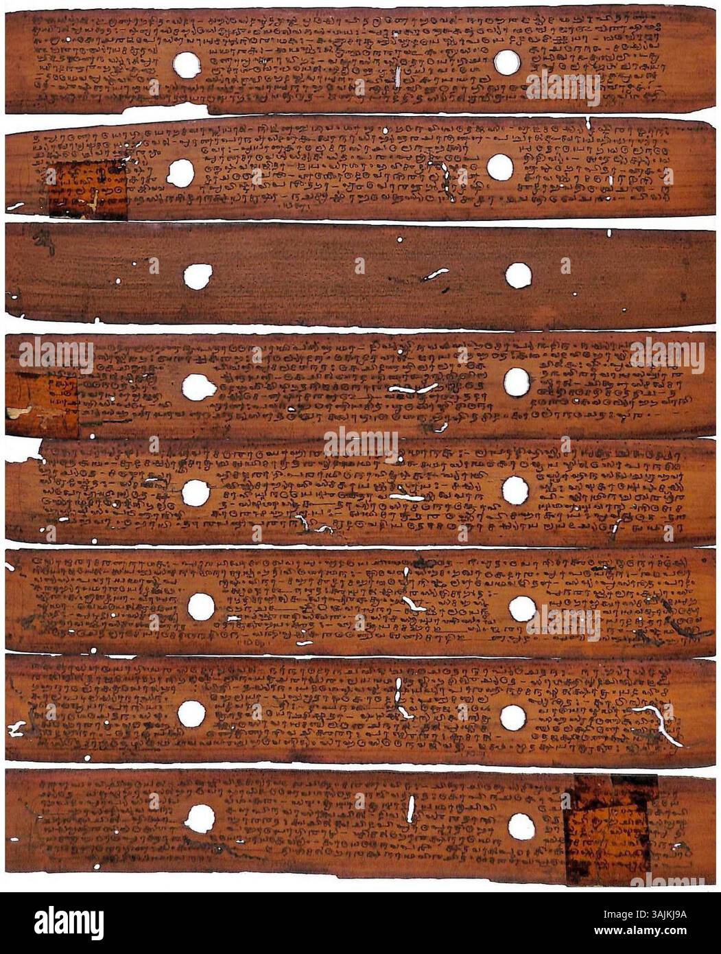 The Amaraughaprabodha is an ancient manuscript text from the 11th or ...