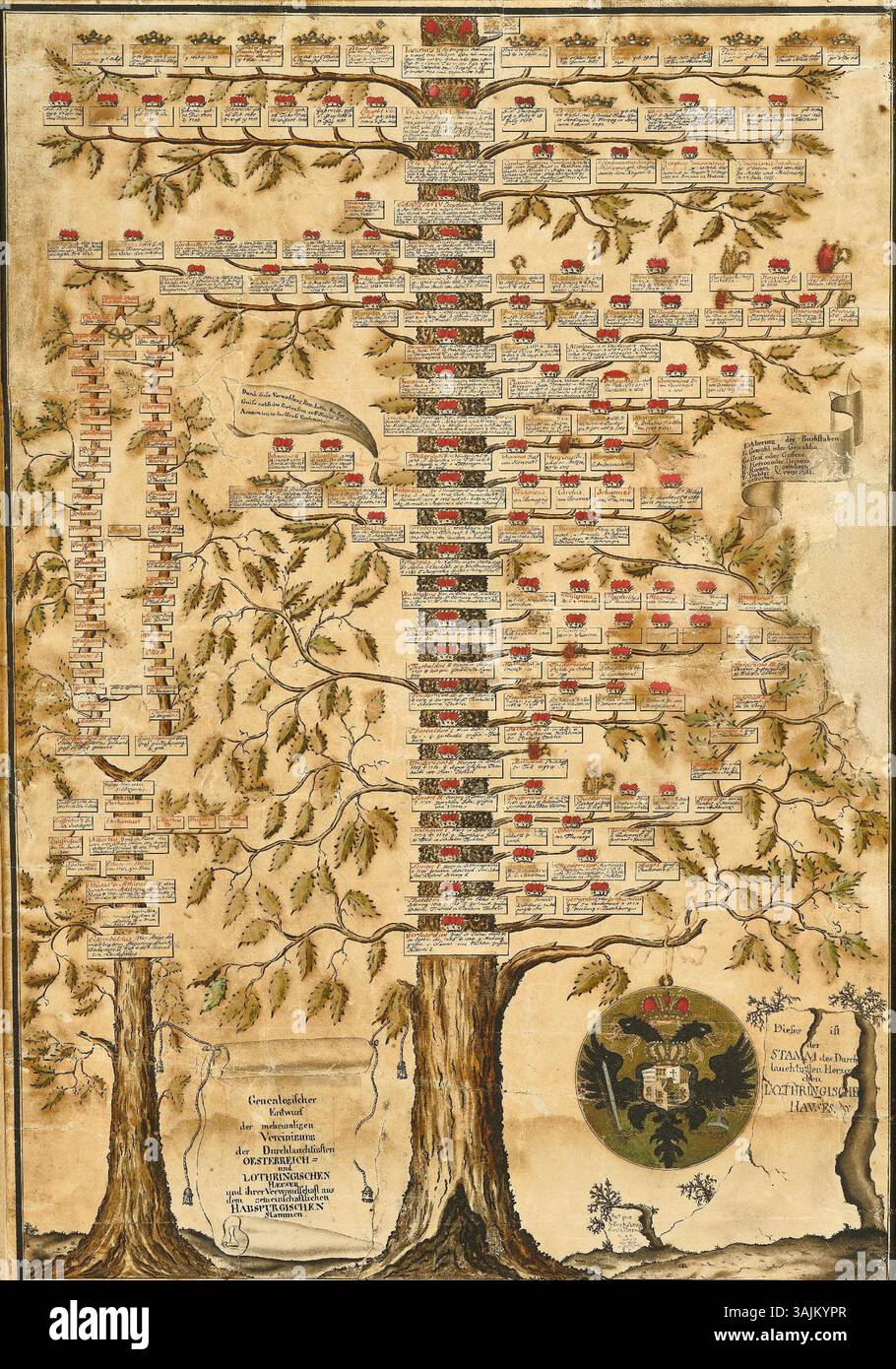 This 1785 family tree of the House of Habsburg-Lothringen, created by ...