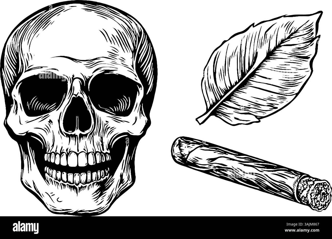 A detailed illustration featuring a human skull, a cigar, and a tobacco ...