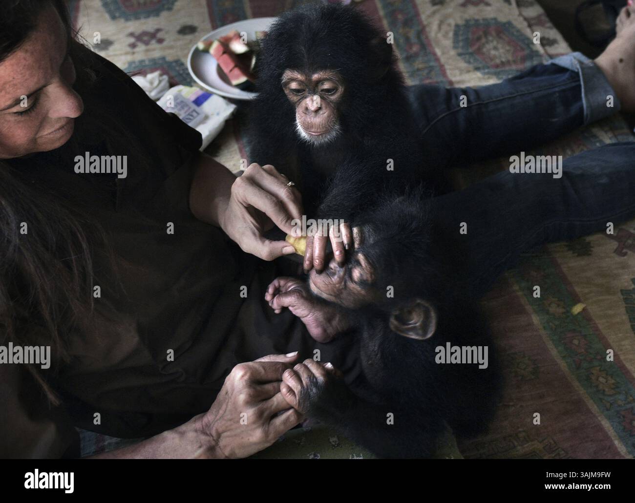 Caregiver feeds home hi-res stock photography and images - Alamy