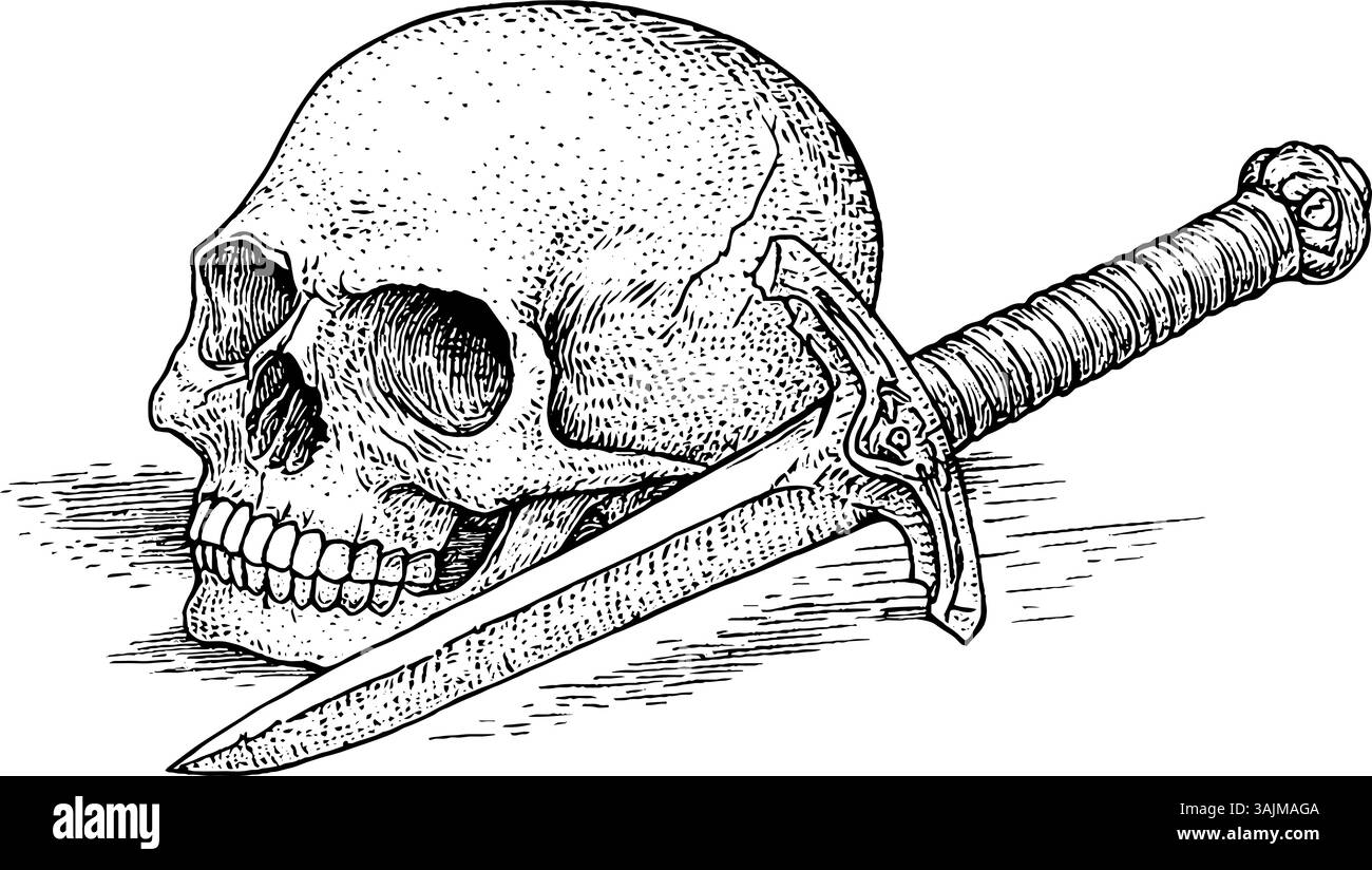 An intricately detailed illustration of a human skull resting beside a ...
