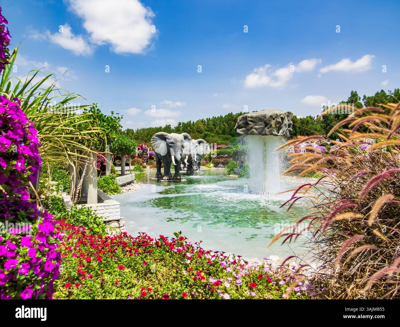 Dubai Miracle Garden is world's largest natural flower garden, 150 ...
