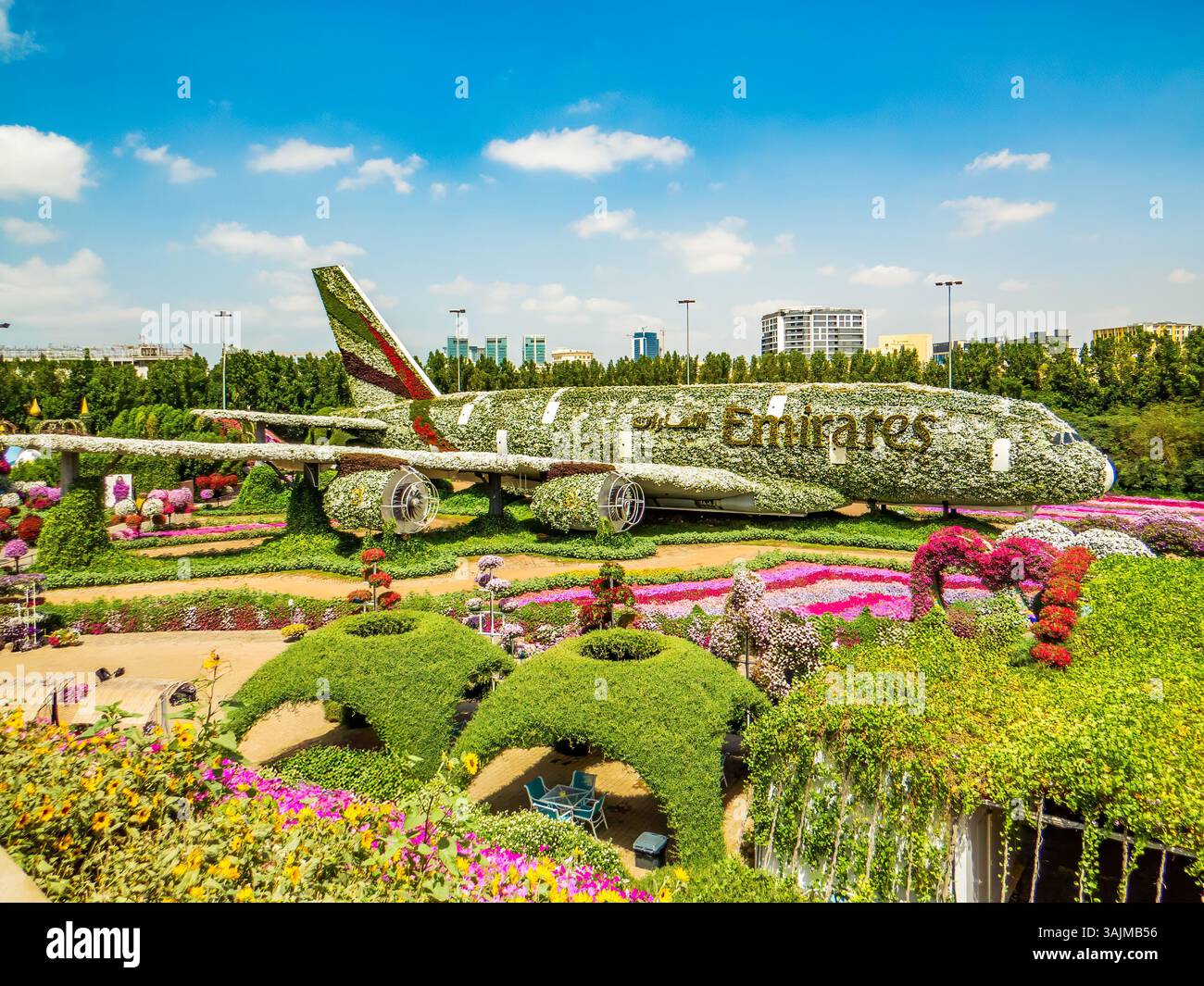 Dubai Miracle Garden is world's largest natural flower garden, 150 ...