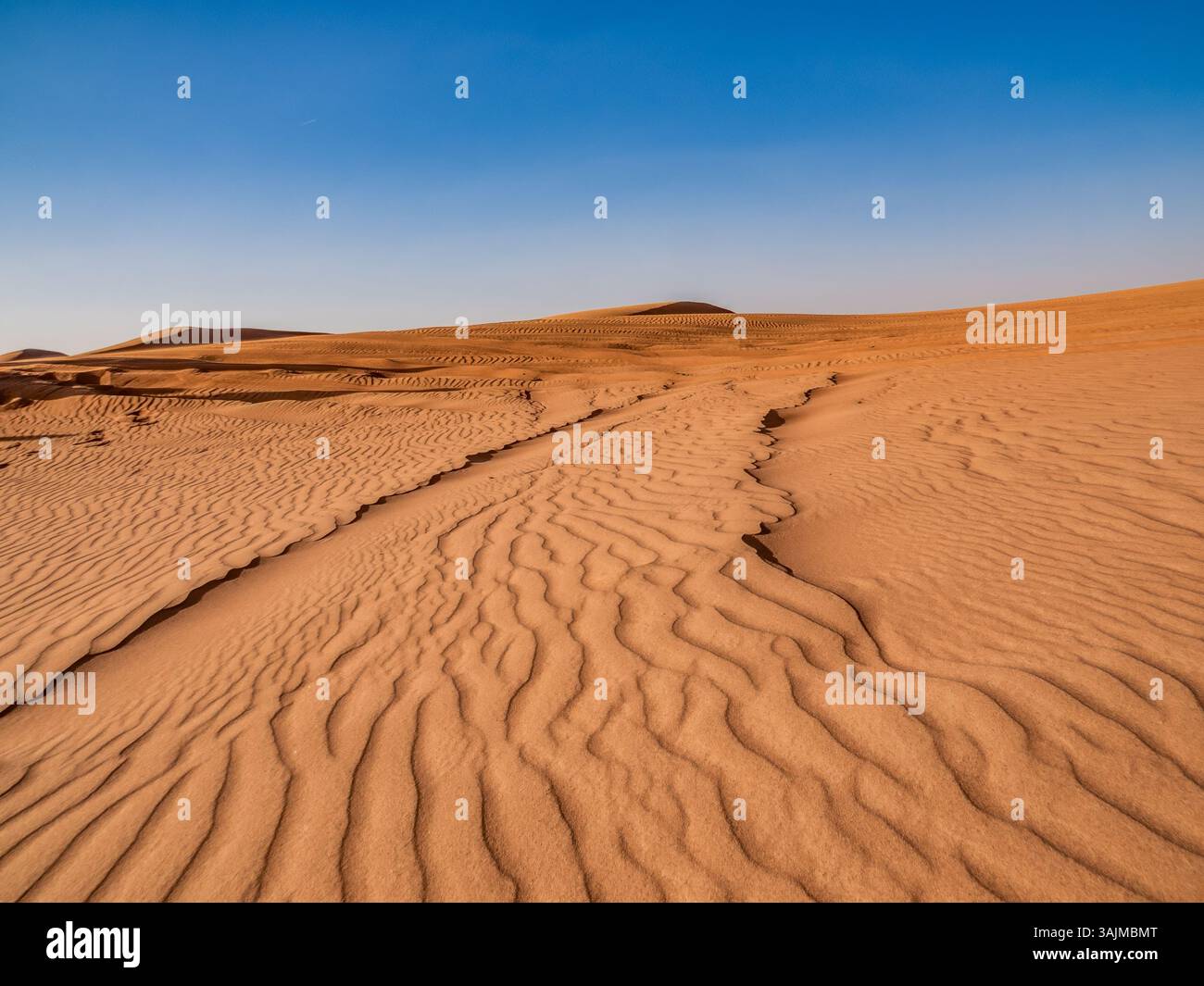 Sand dunes in the United Arab Emirates Stock Photo - Alamy