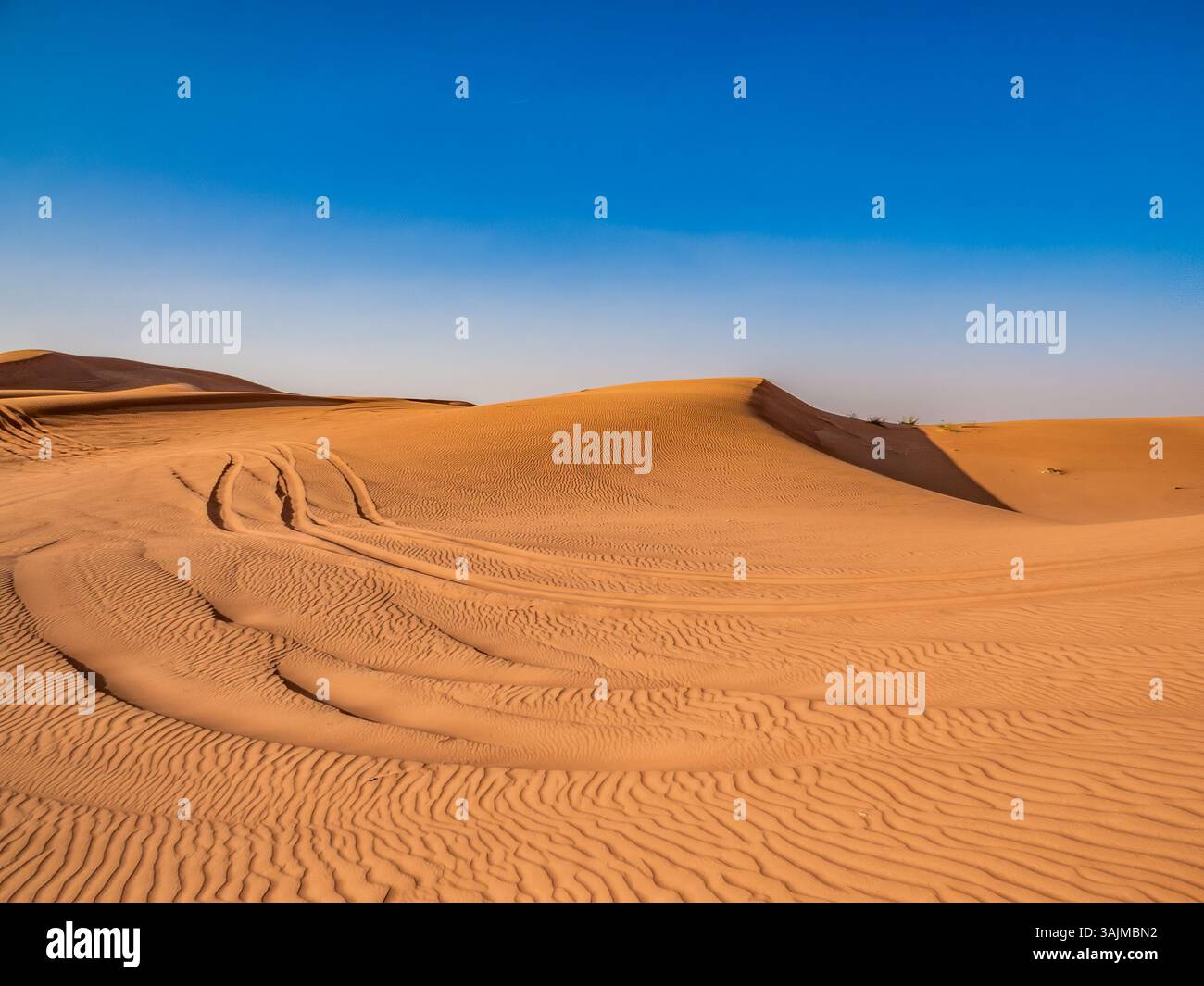 Sand dunes in the United Arab Emirates Stock Photo - Alamy
