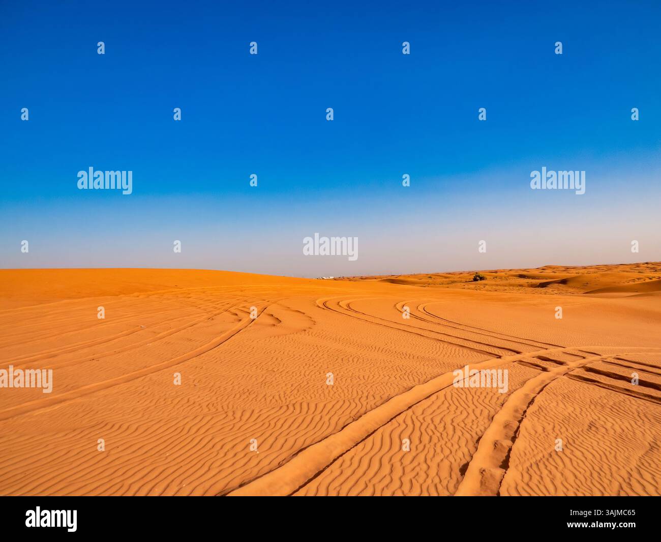 Sand dunes in the United Arab Emirates Stock Photo - Alamy