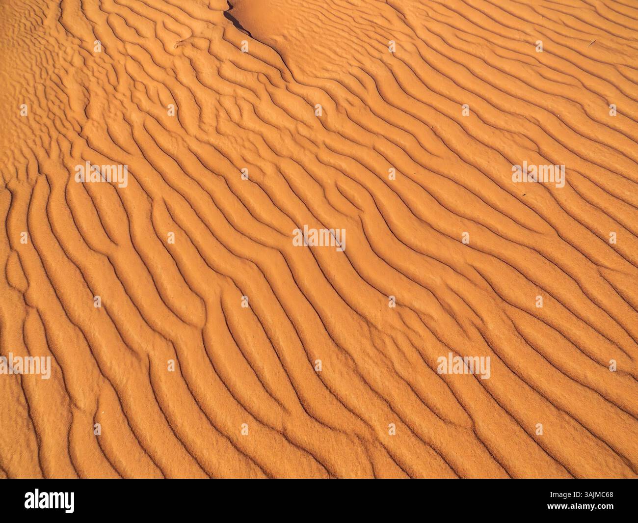 Sand dunes in the United Arab Emirates Stock Photo - Alamy
