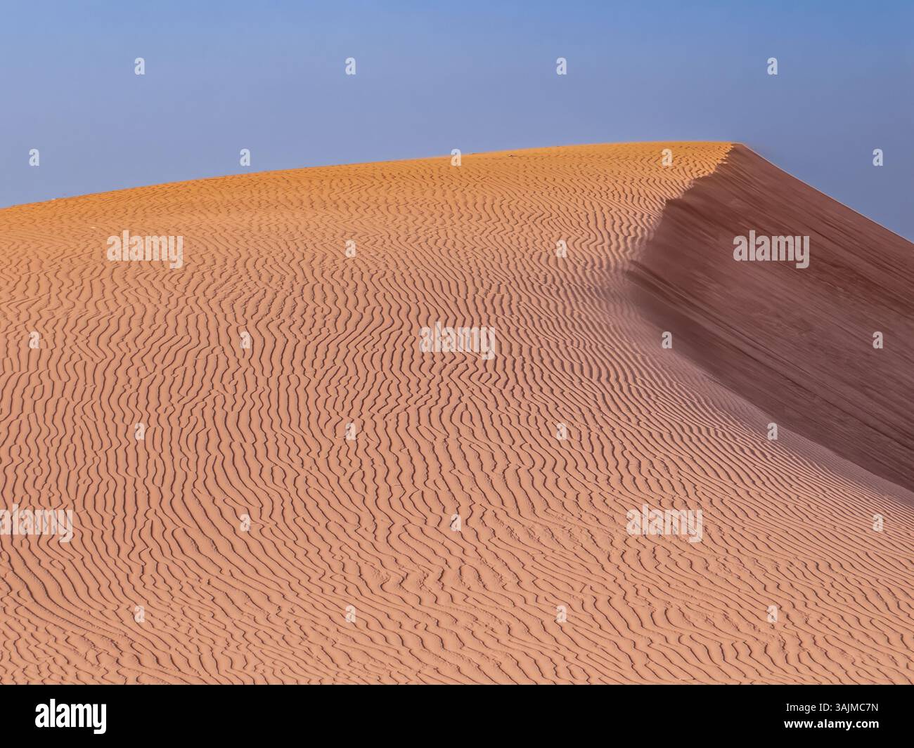 Sand dunes in the United Arab Emirates Stock Photo - Alamy