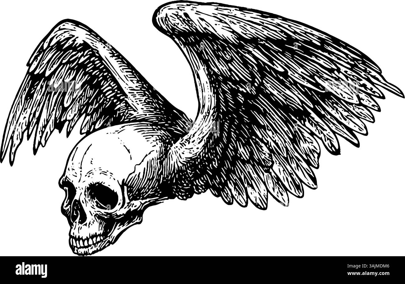 A detailed illustration of a skull with large, feathered wings. The ...