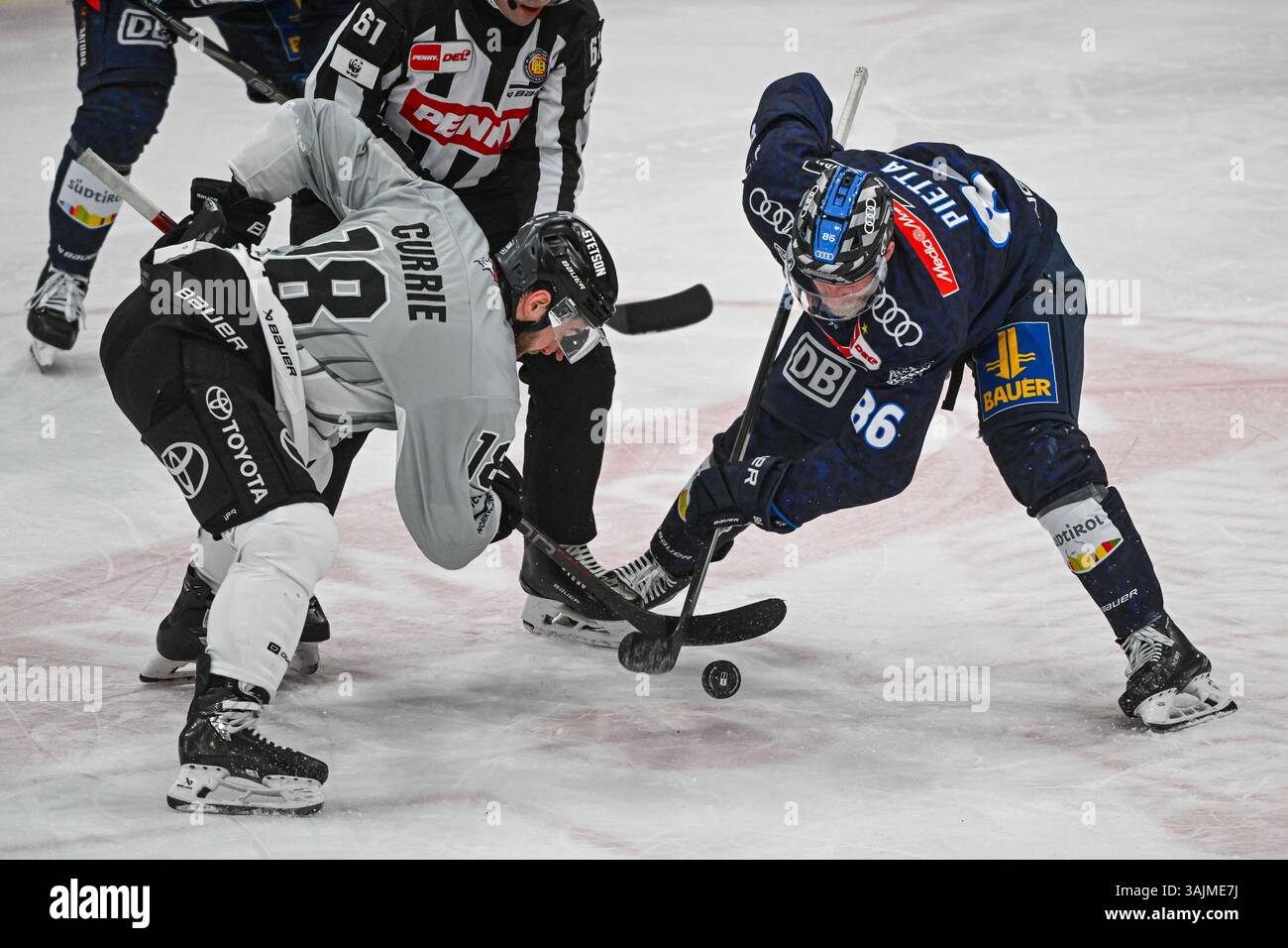 11 April 2025, Bavaria, Ingolstadt: Ice hockey: DEL, ERC Ingolstadt ...