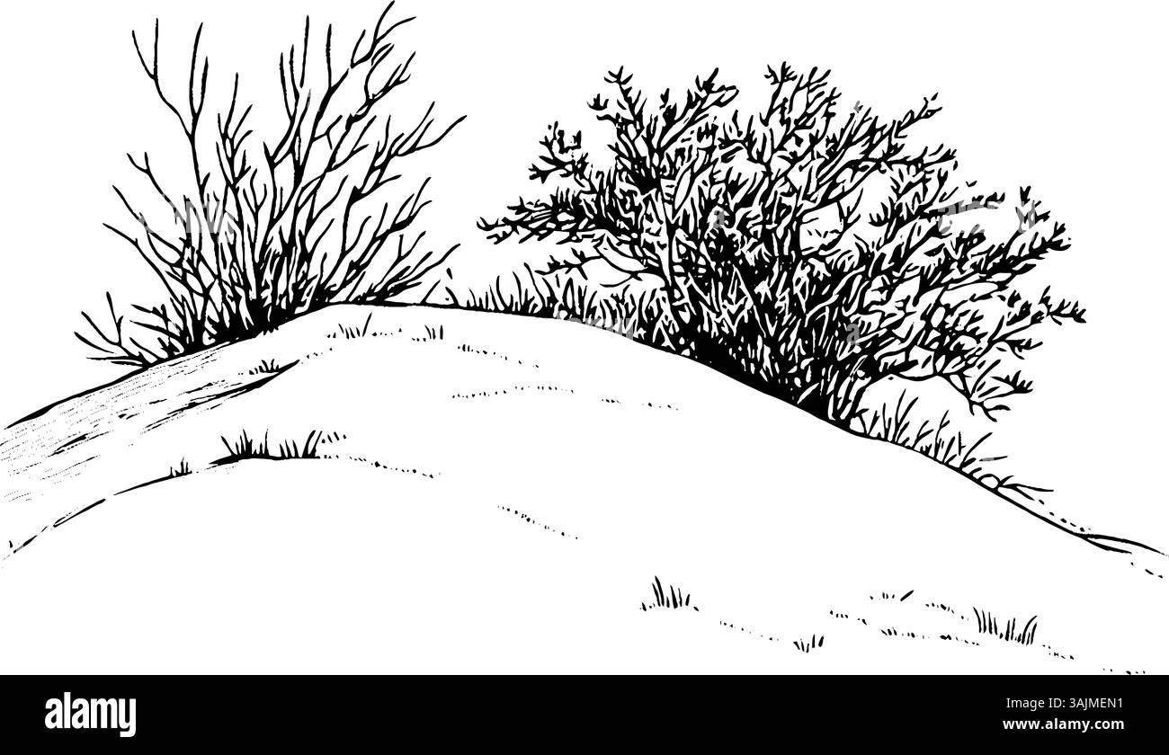 A black and white illustration of a small hill with two types of bushes ...