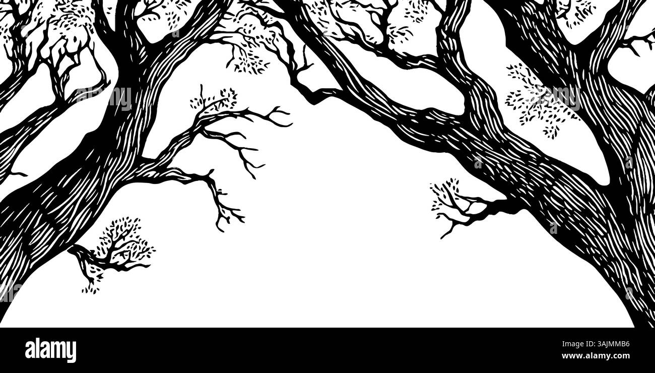Textures from tree branches Stock Vector Images - Alamy
