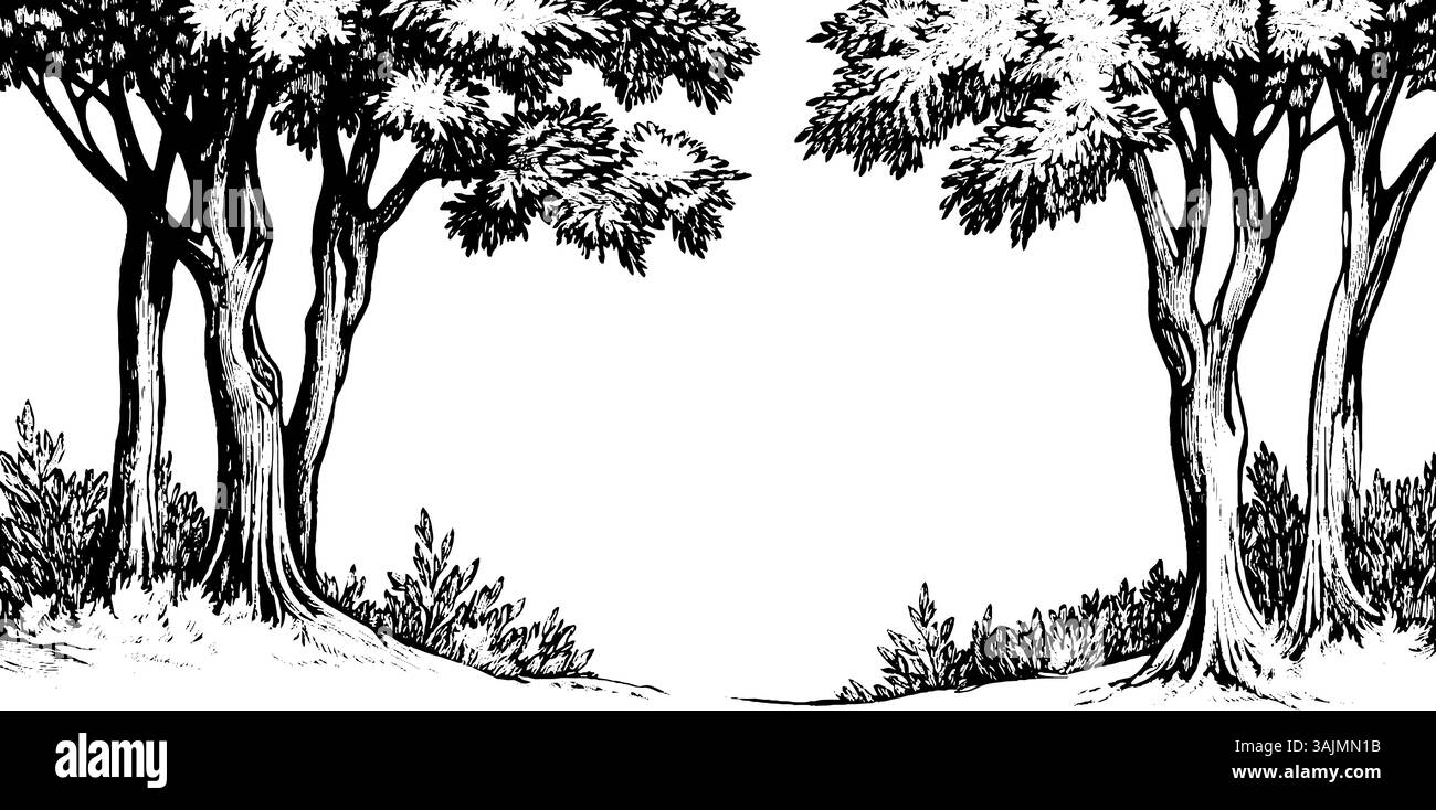 A black and white illustration of trees with detailed bark and leaves ...