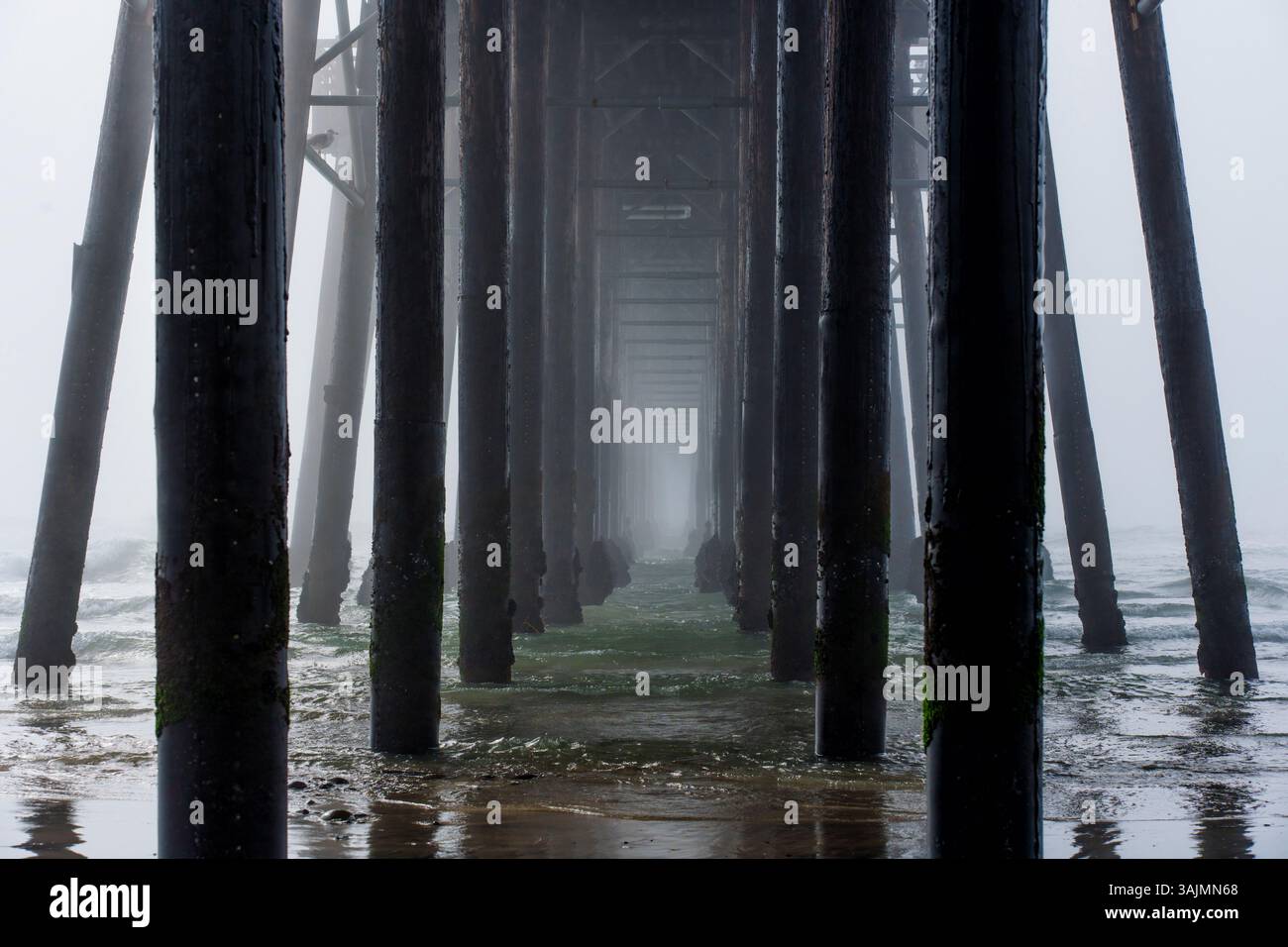 View from beneath the Oceanside Municipal Pier showcasing wooden ...