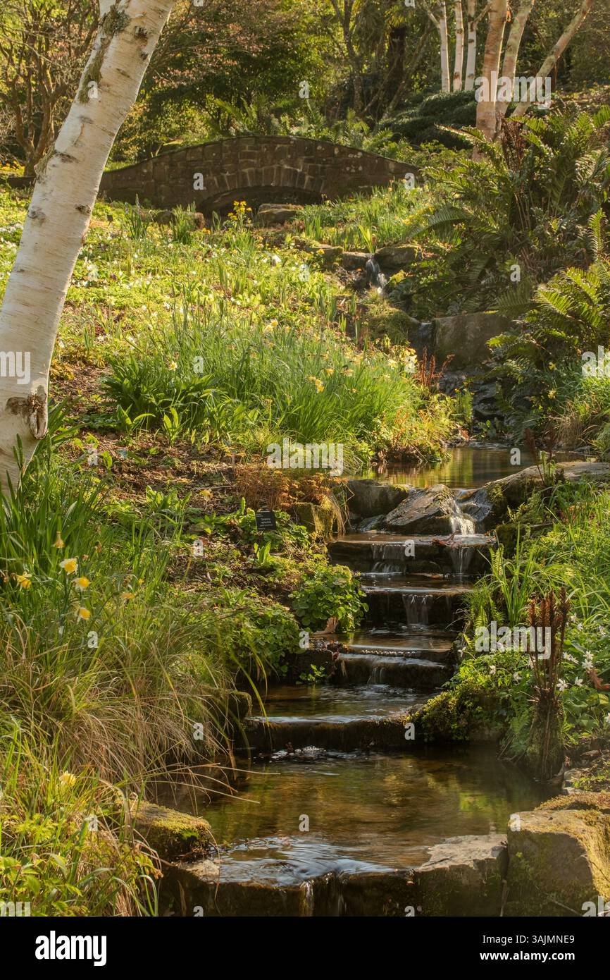 RHS Garden Rosemoor, botanical garden in North Devon, England.Alluring ...
