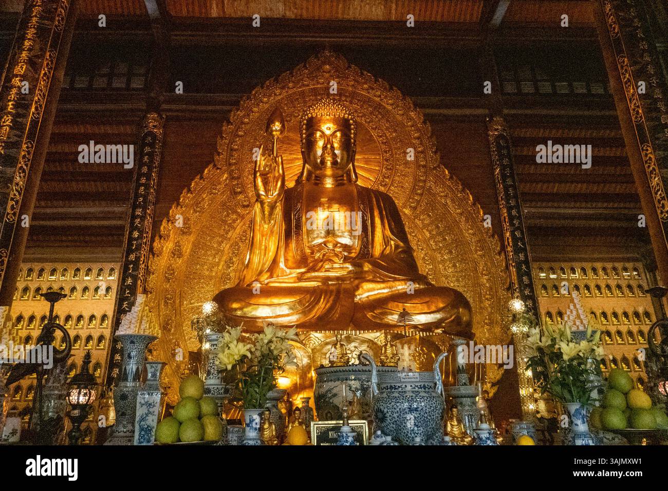 Asia's largest gold-plated bronze Buddha statue, standing 10 meters ...