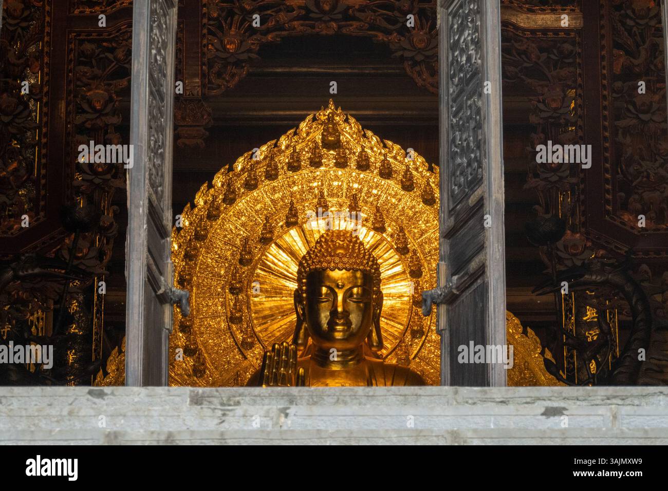 Asia's largest gold-plated bronze Buddha statue, standing 10 meters ...