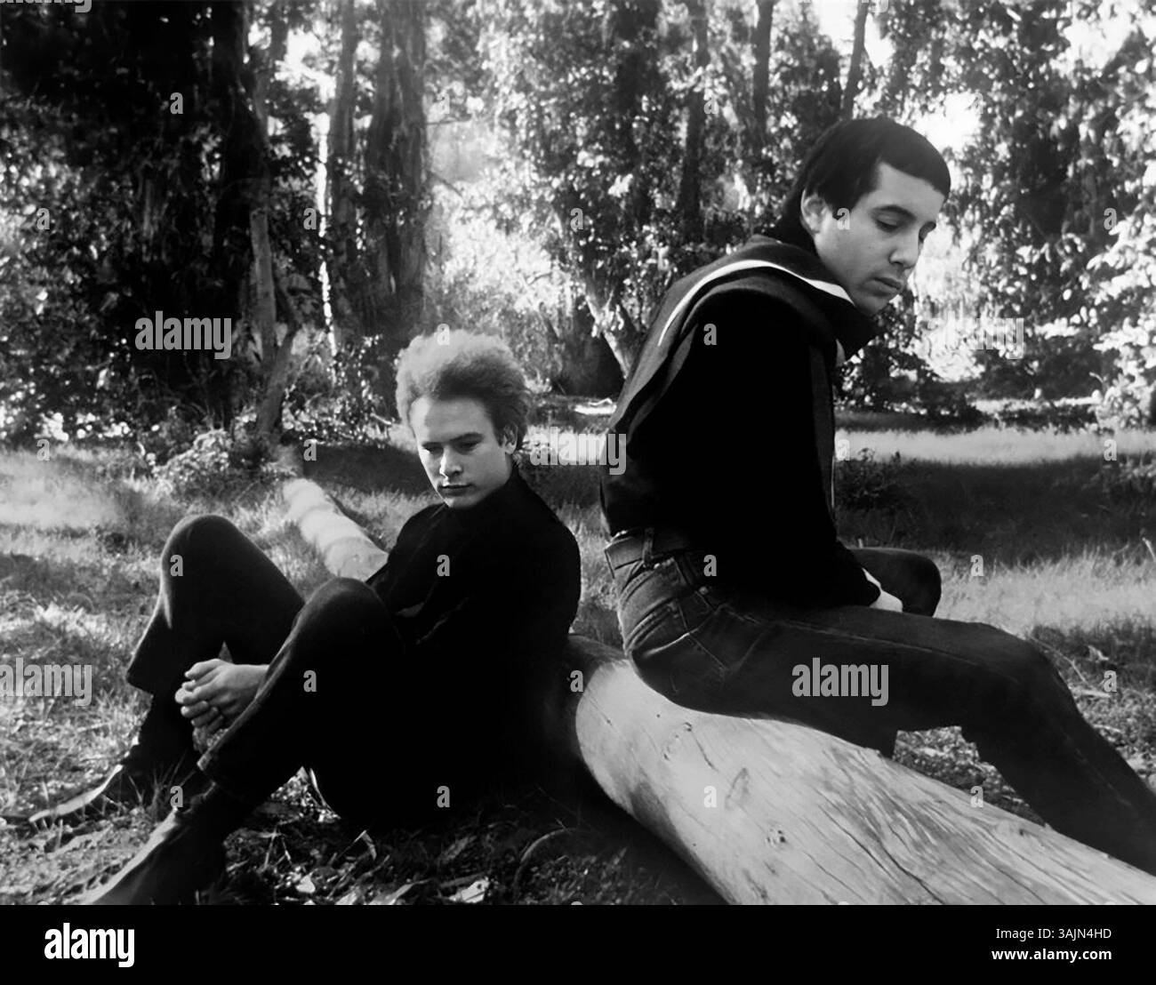 Simon and Garfunkel. Portrait of the American folk rock duo, Paul Simon ...