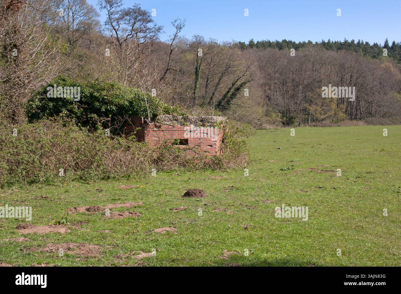 World War II pillbox by the River Wey, Waverley Abbey, Farnham, Surrey ...