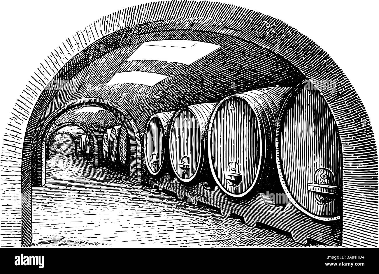 Cellar organization Stock Vector Images - Alamy