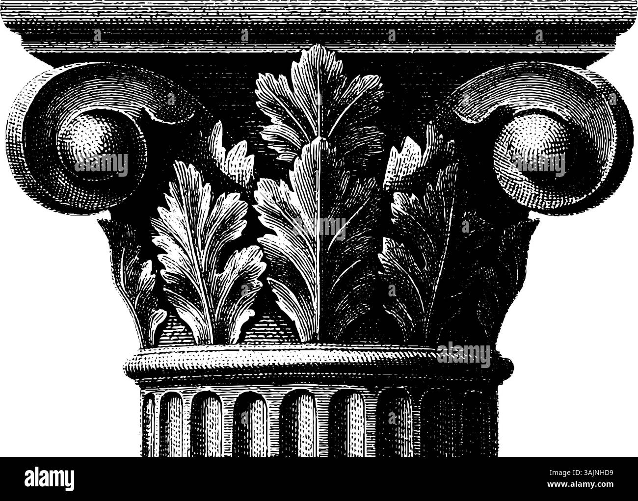 Detailed ionic column capital with decorative acanthus leaves Stock ...