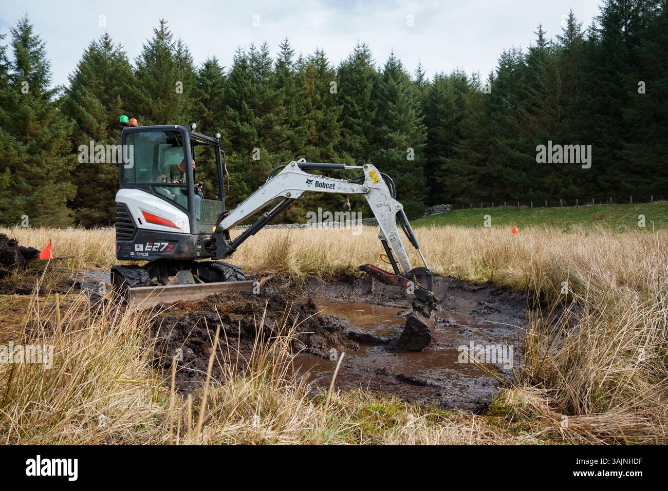 Digger excaving a pond to create wildlife habitat in Northumberland, UK ...