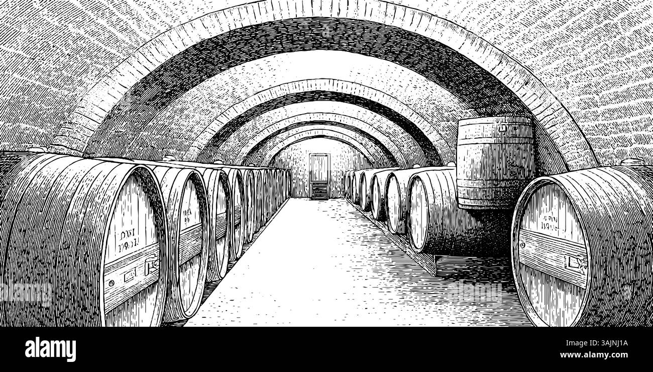 Underground wine cellar with wooden barrels in arched stone corridor ...