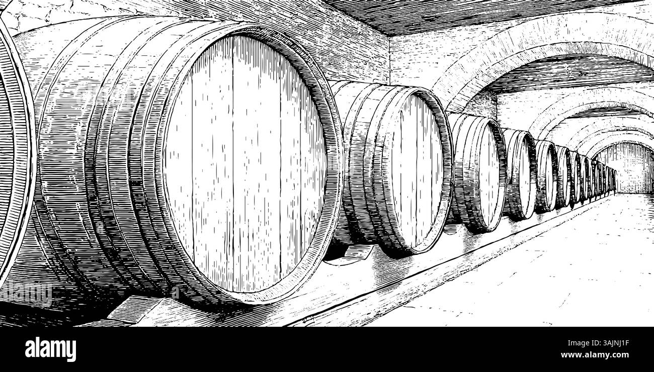 Vintage wine cellar with large wooden barrels in historic stone vault ...