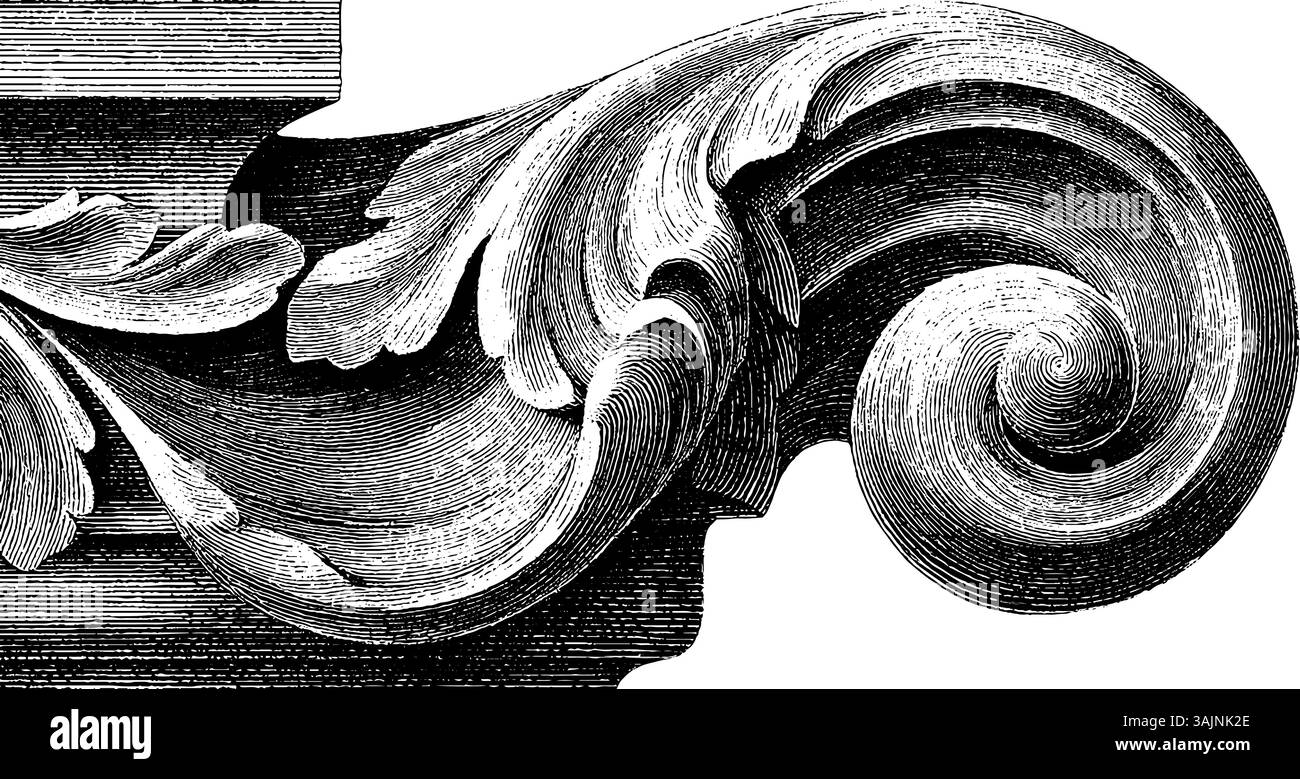 Ornate black and white architectural scroll motif design Stock Vector ...