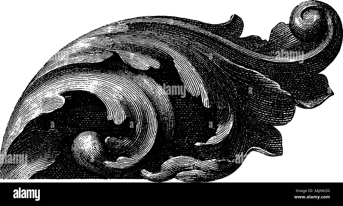 Ornate vintage swirl design element in black and white engraving style ...