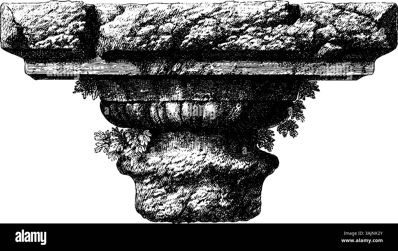 Ancient stone column capital with leafy details in black and white ...