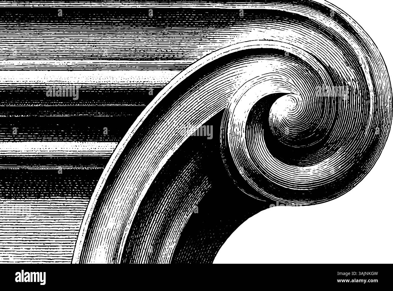 Classical ionic column capital detailed engraving illustration Stock ...