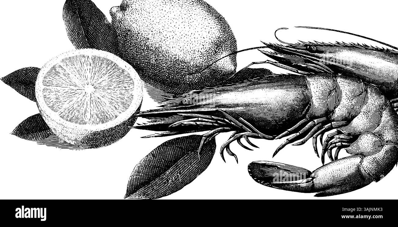 Black line lemon composition Stock Vector Images - Alamy