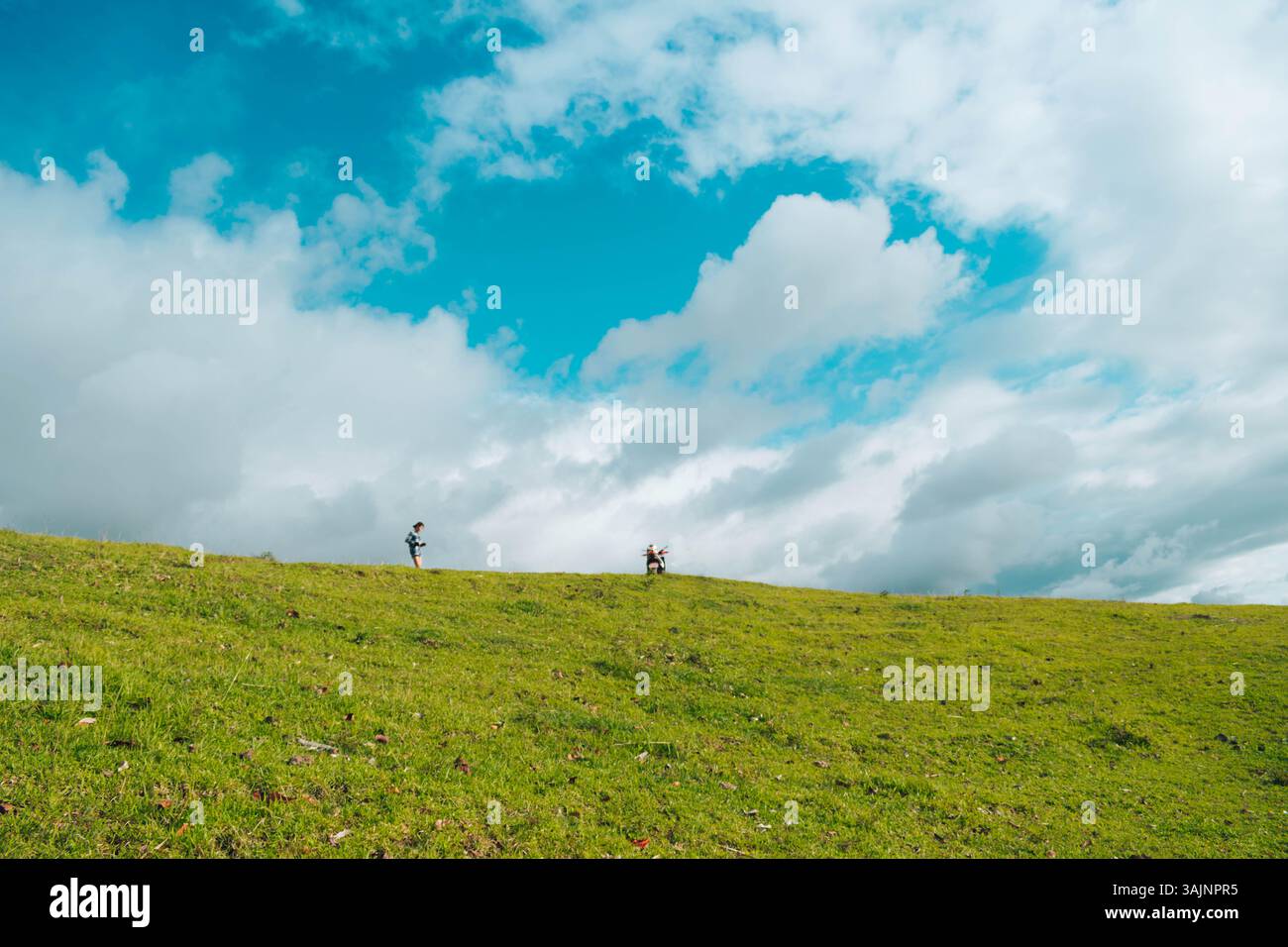 A stunning natural landscape in the Philippines, featuring rolling ...