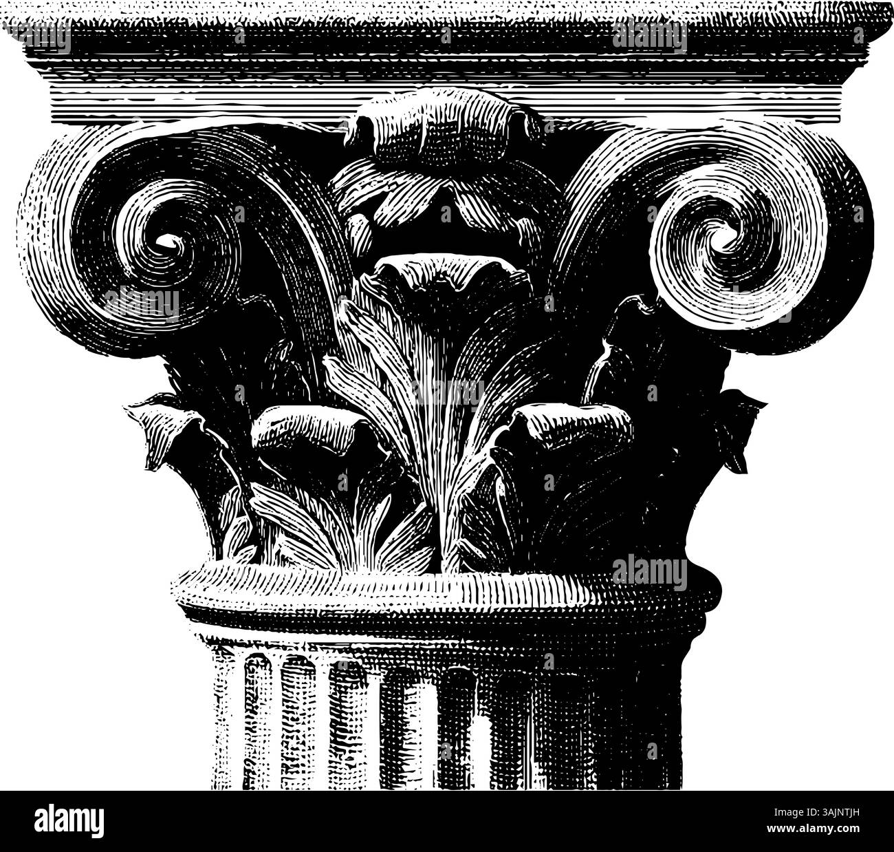 Acanthus scroll hi-res stock photography and images - Alamy