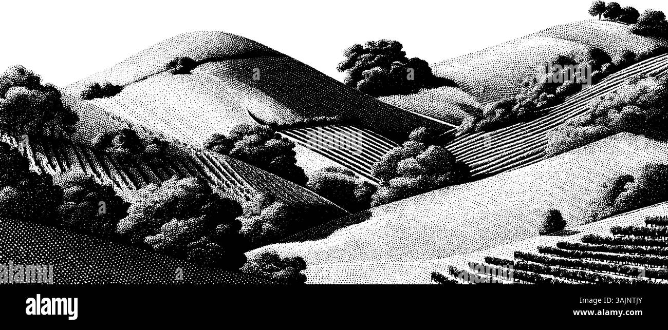 Undulating rows Stock Vector Images - Alamy