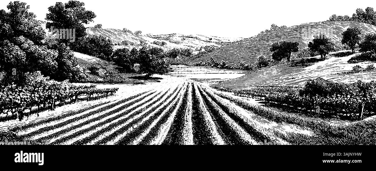 Vintage black and white rural landscape with fields and rolling hills ...