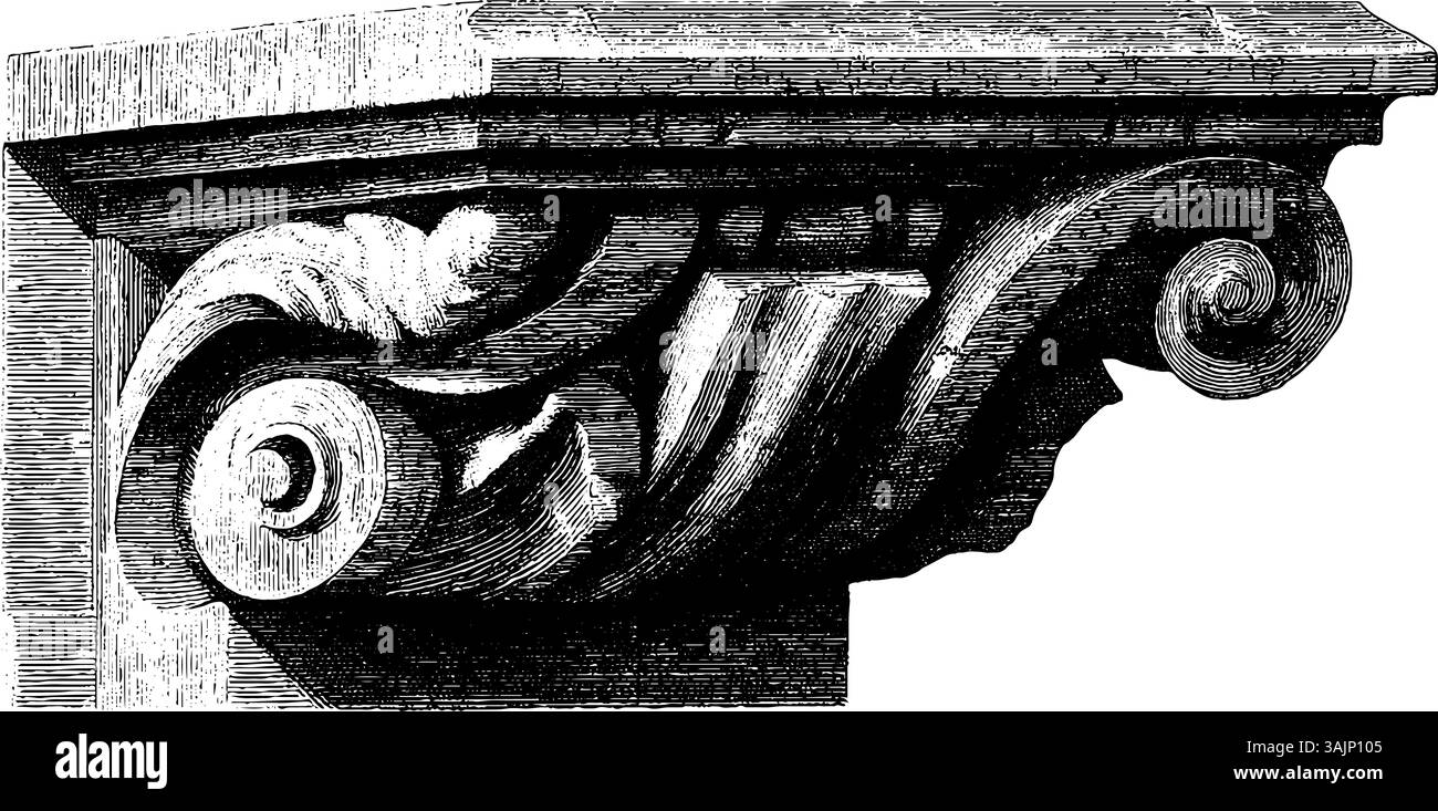 Vintage architectural capital design with intricate swirl and leaf ...