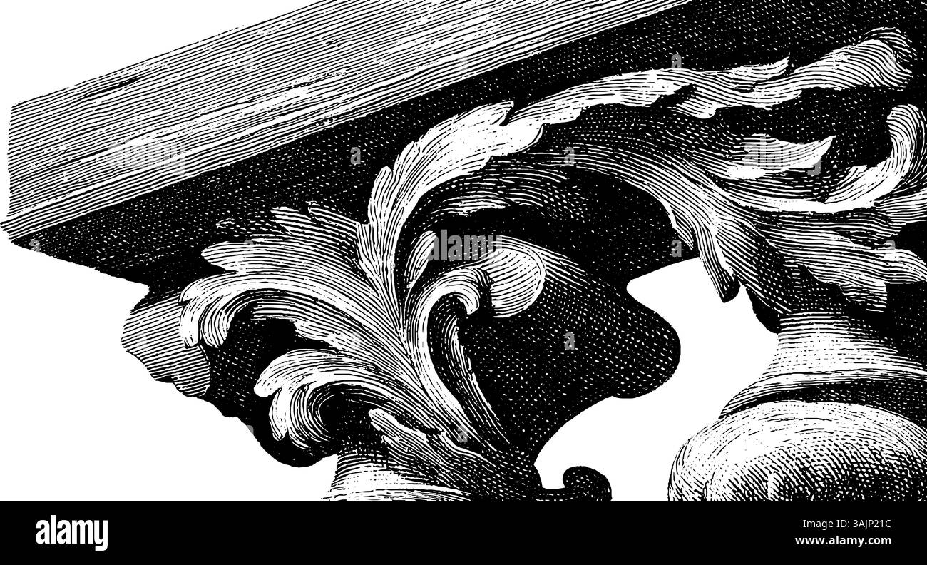Ornate classical column capital with intricate leaf design in black and ...