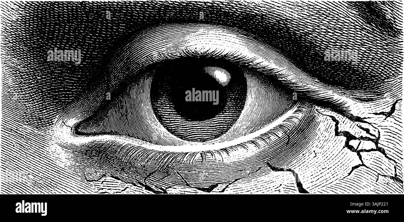 Vintage engraving of human eye with intricate line details and cracked ...