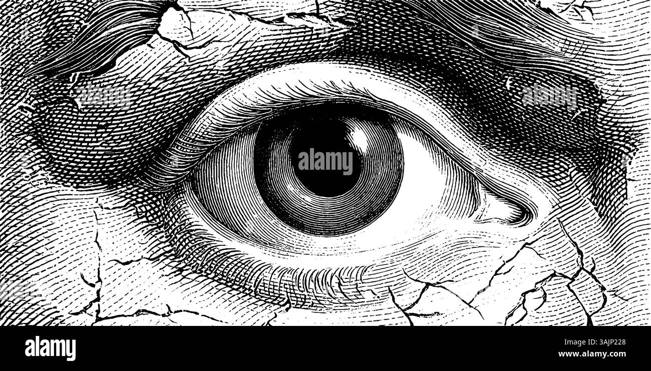 Detailed black and white engraving of a human eye with intricate ...