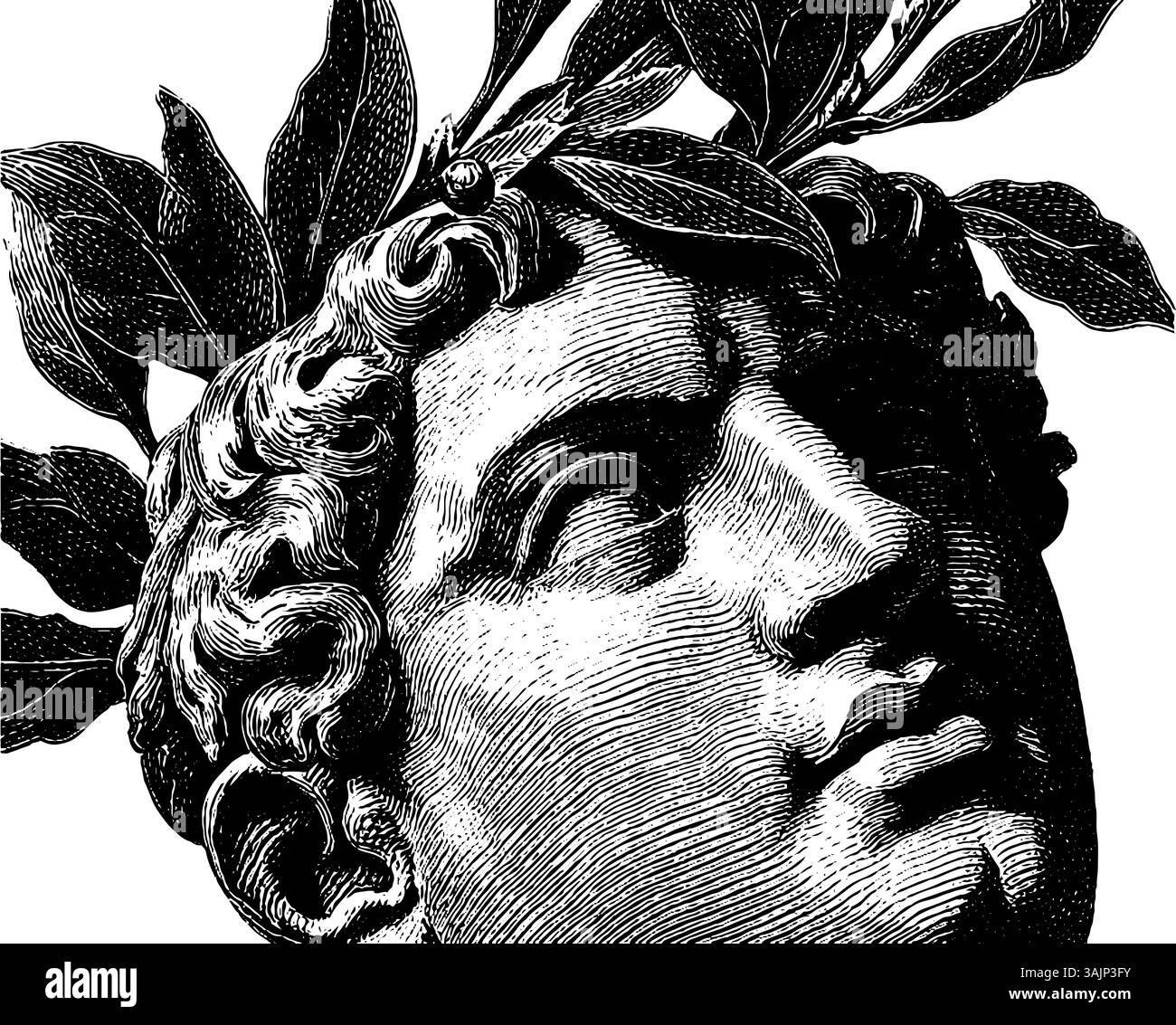 Roman laurel wreath hi-res stock photography and images - Alamy