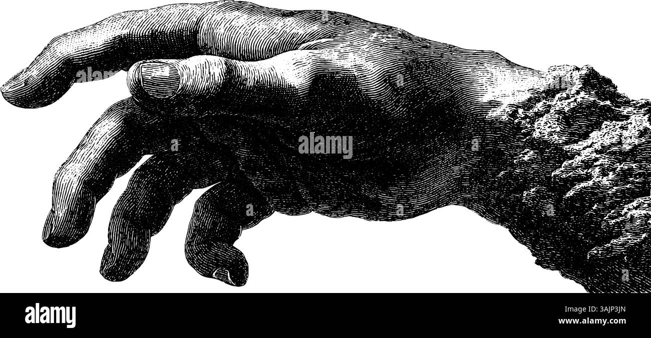 Detailed vintage engraving of a hand in black and white Stock Vector ...