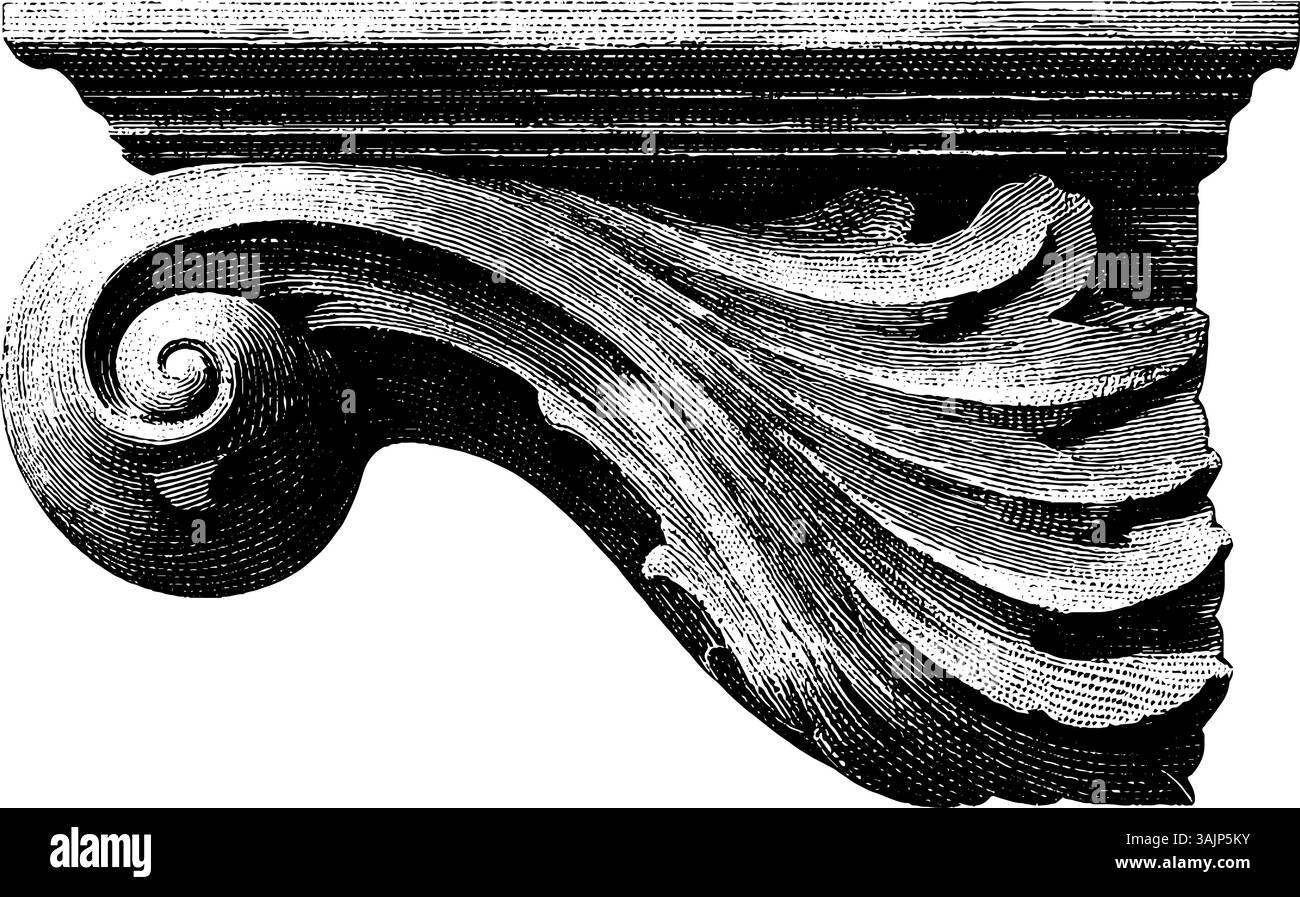 Intricate black and white engraving of a classical decorative scroll ...