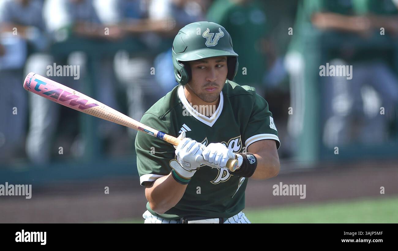 University of South Florida's Matt Rose (2) battles at the plate during ...