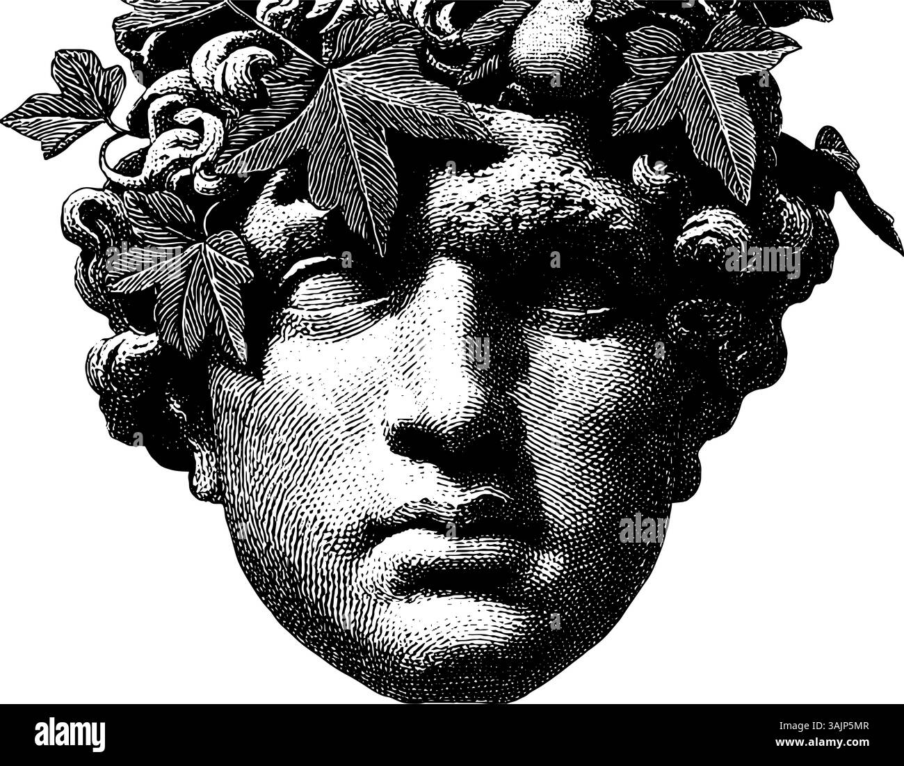 Classical statue head of bacchus with vine leaves in detailed engraving ...